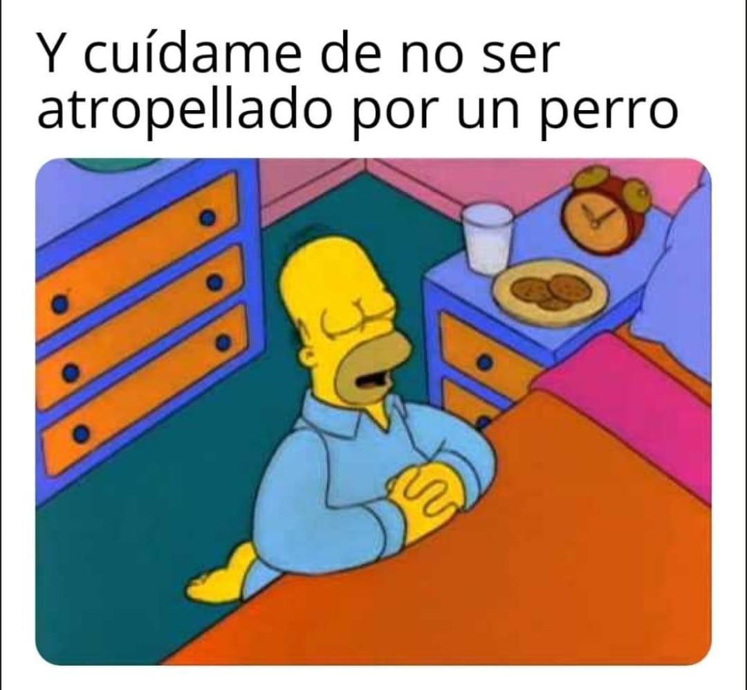 Video y memes de perro que “atropella” a hombre, se vuelven virales ...