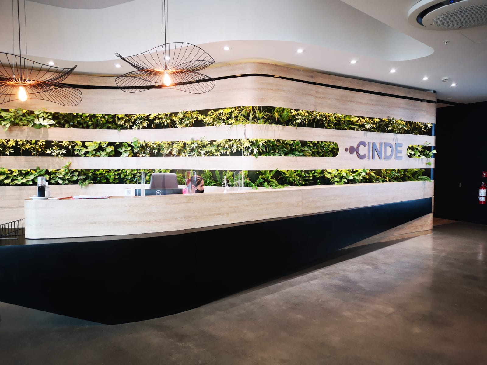 Ruptura con Cinde: Una decisión dañina por 4 razones, según economista ...