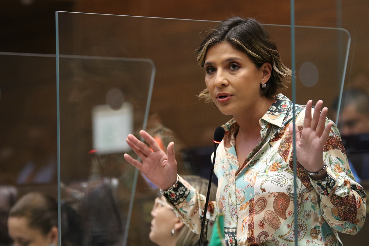 Diputados frenan proyecto para fortalecer derechos de los consumidores ...