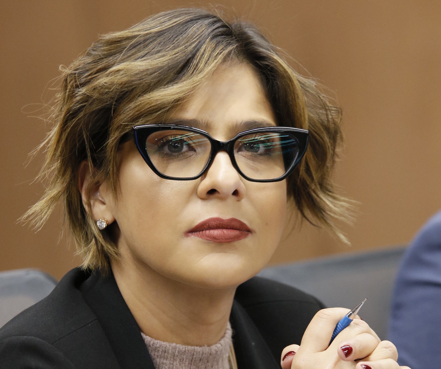 Jerarcas que incumplan con reglamentación de leyes serán inhabilitados ...