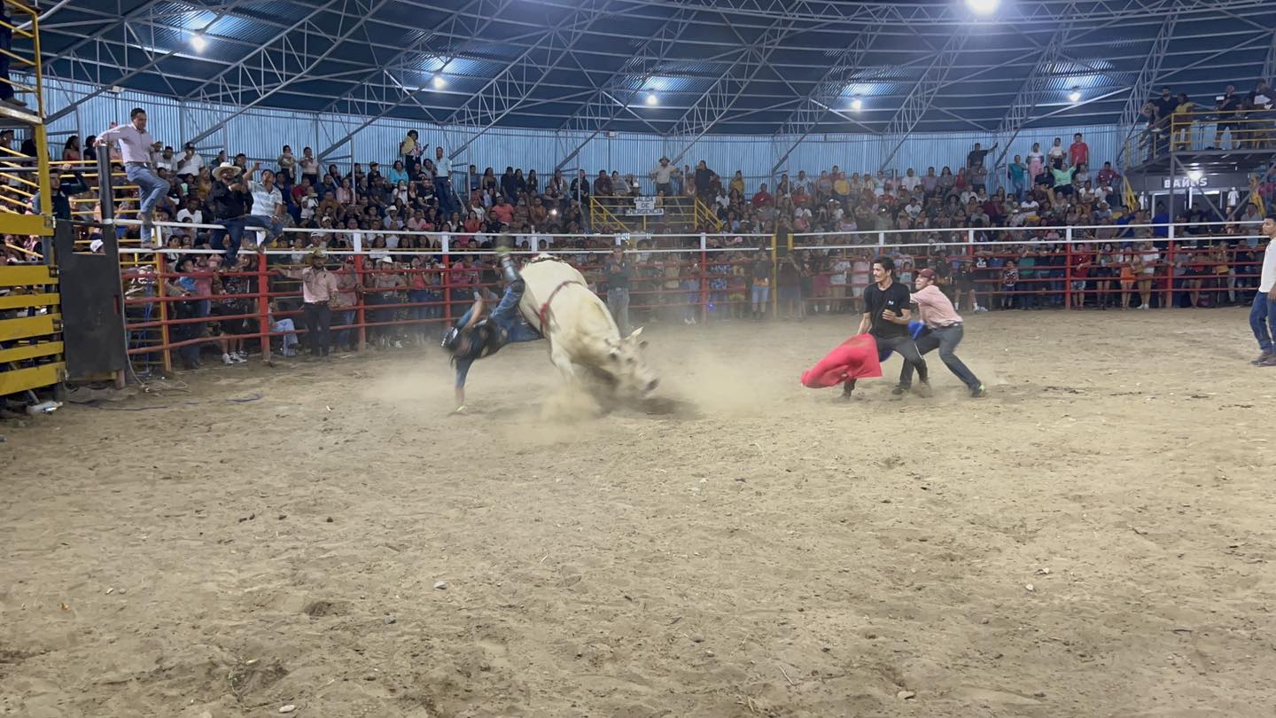 Abogado de Pecho de Rata: “Crecimiento patrimonial de la familia es por ...