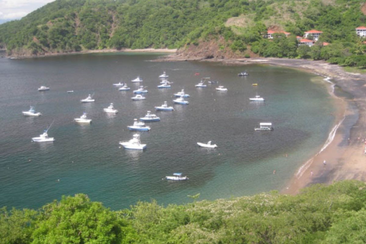 Marea roja: ¿qué es y por qué se produce? UNA lo explica | CRHoy.com