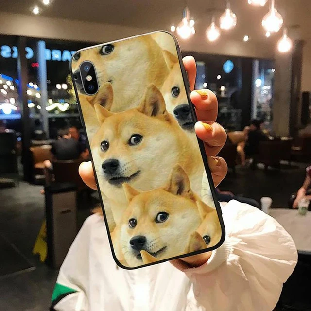 FOTOS: Estos son algunos memes que dejó la perrita viral Kabosu | CRHoy.com